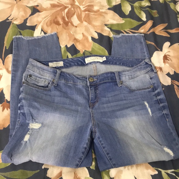 torrid | Jeans | Torrid Distressed Boyfriend Jeans | Poshmark